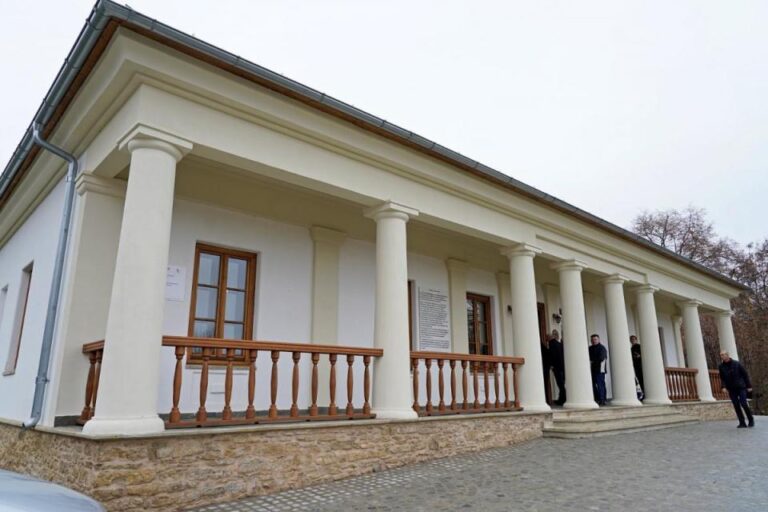 Un vechi conac boieresc dintr-o comună din Botoșani, transformat într ...