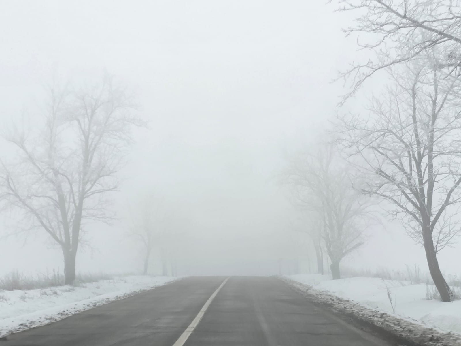 Atenție cum conduceți! Nu scăpăm de Codul Galben de ceață la Botoșani ...