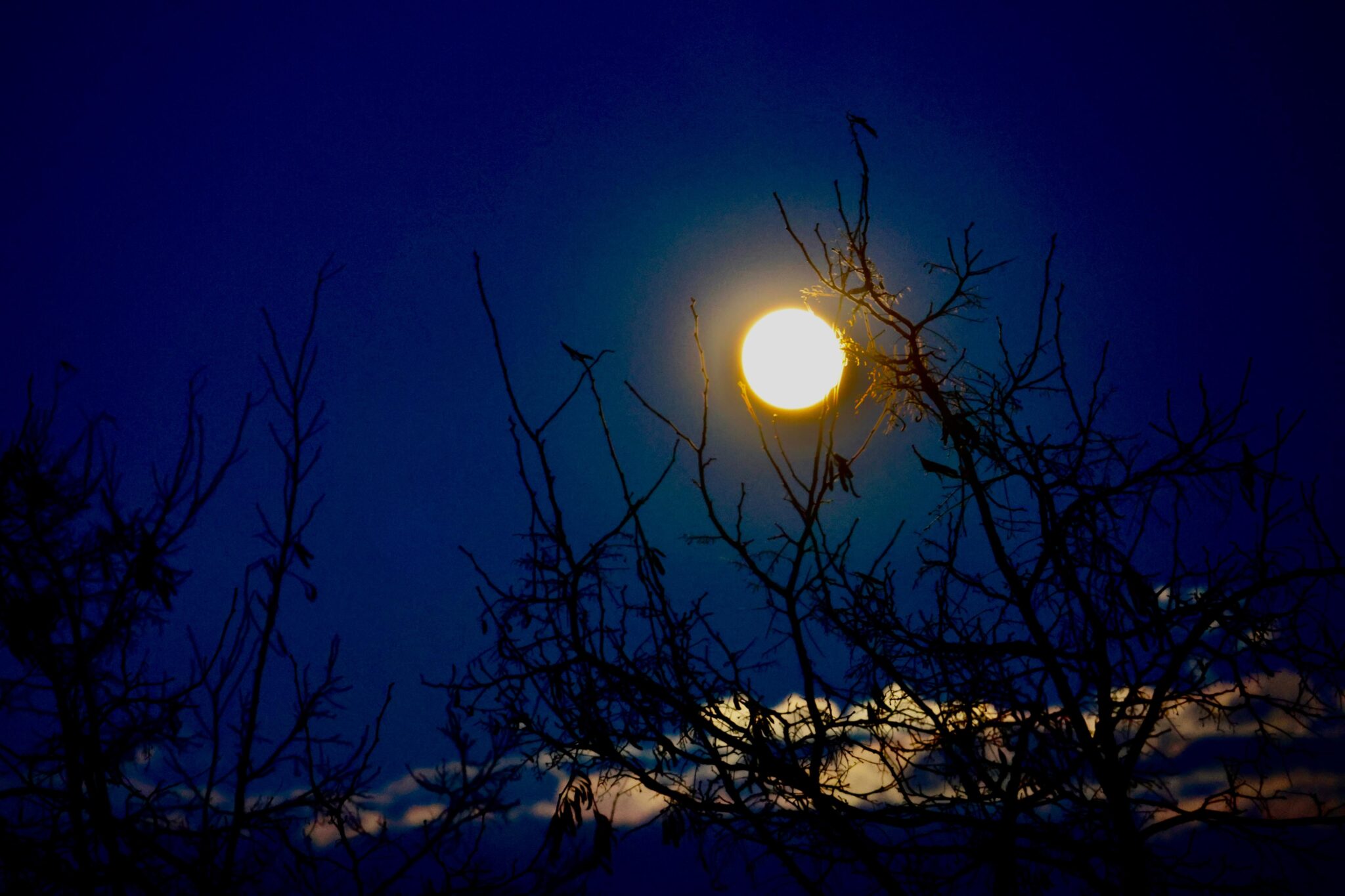 FOTO Luna Lupului, spectacol ceresc văzut de la Botoșani. Este prima ...